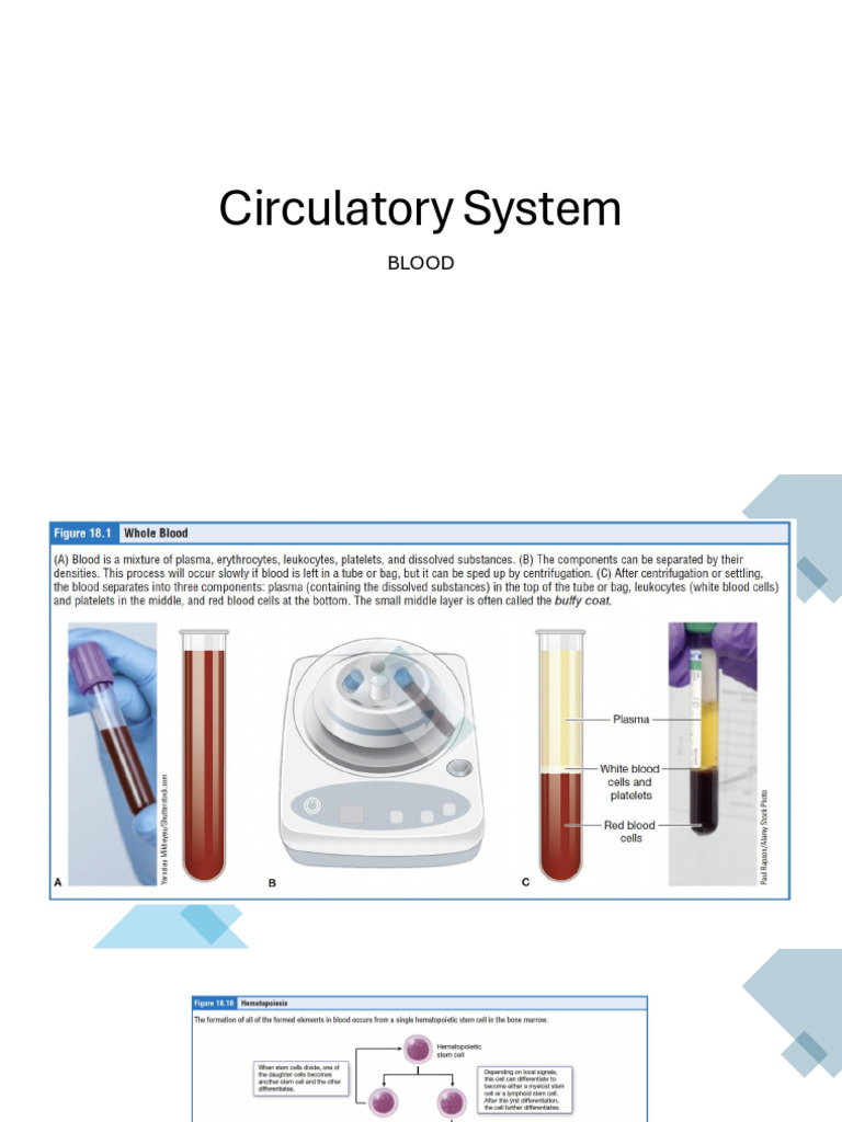 Basic Histology of The Blood, An Atlas | PDF