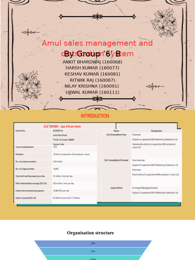 Amul Sales Management and Distribution System | PDF | Incentive ...