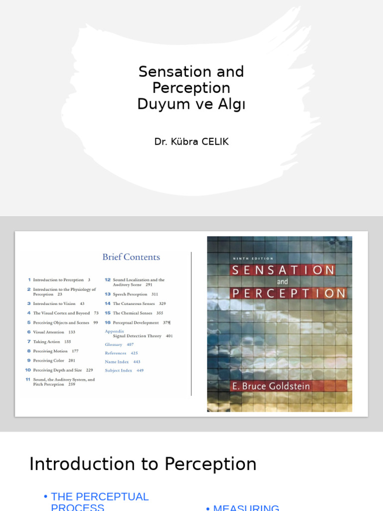 01-02 Intro To Perception | PDF | Excitatory Postsynaptic Potential | Inhibitory Postsynaptic ...