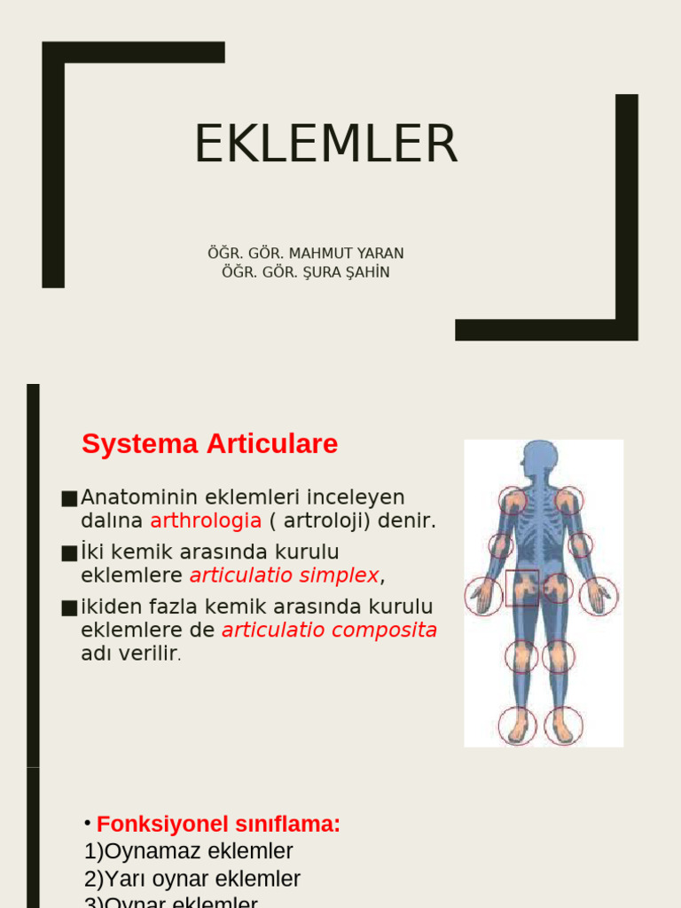 6 Eklemler Hakkinda Genel Bi̇lgi̇ler | PDF