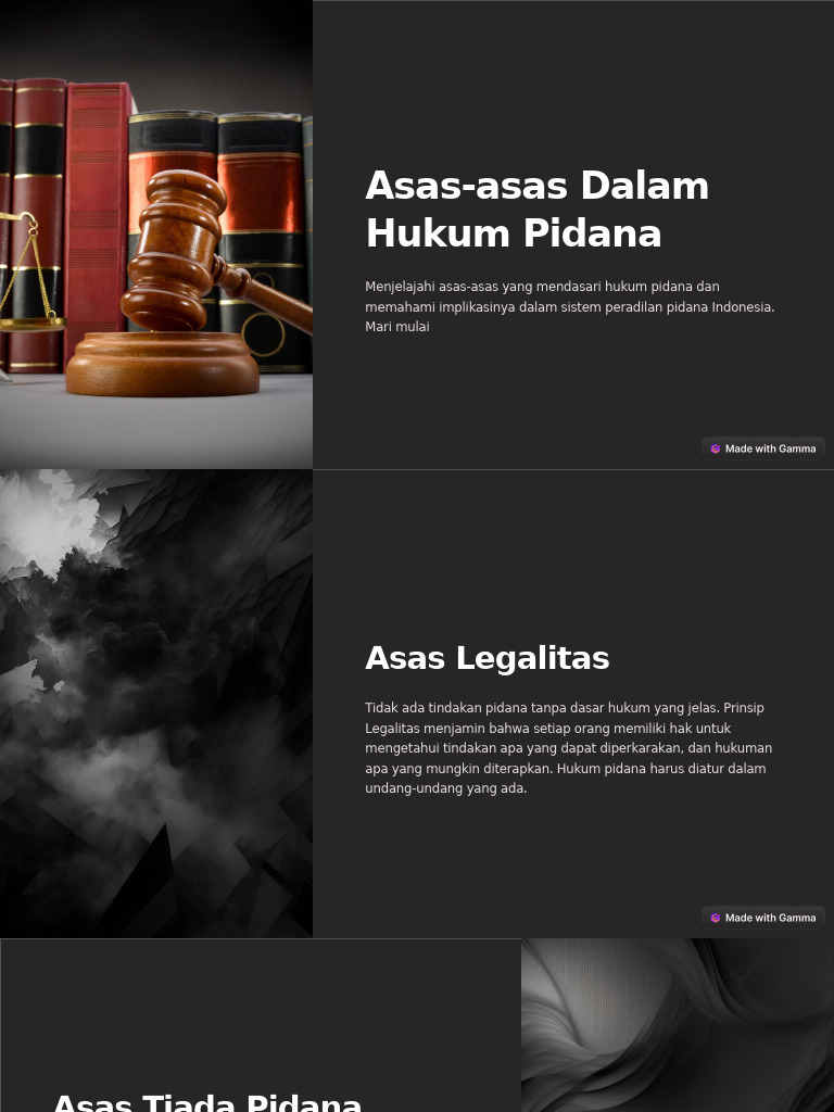 Asas Asas Dalam Hukum Pidana | PDF | Ilmu Sosial