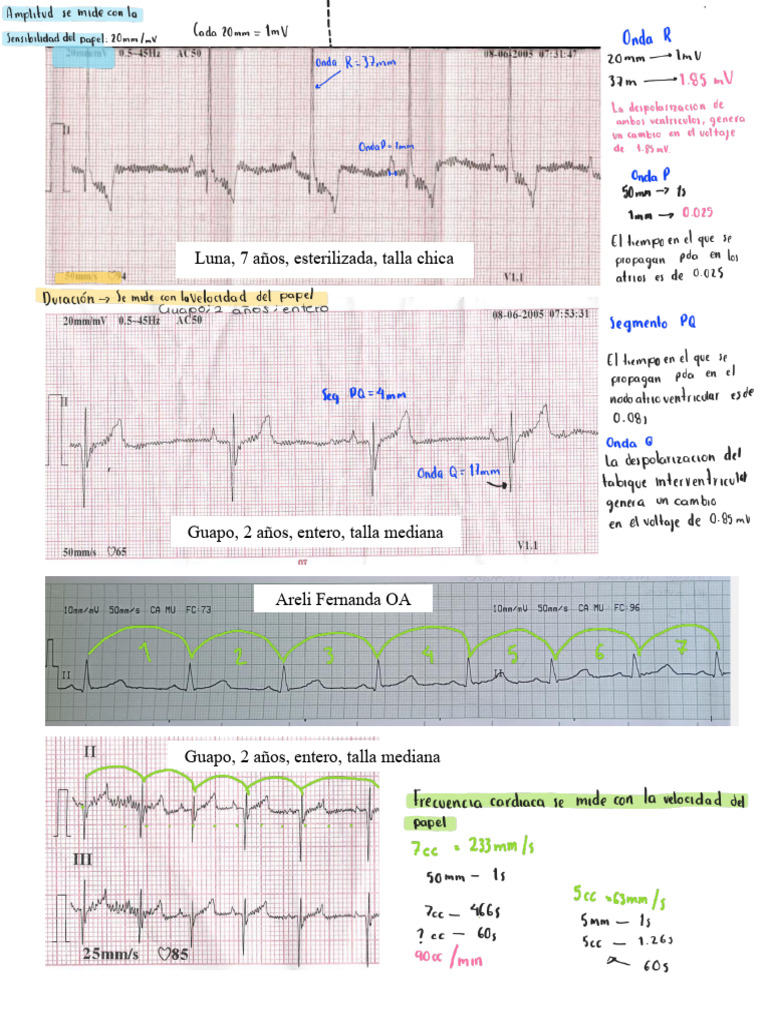 Frecuencia Cardíaco | PDF