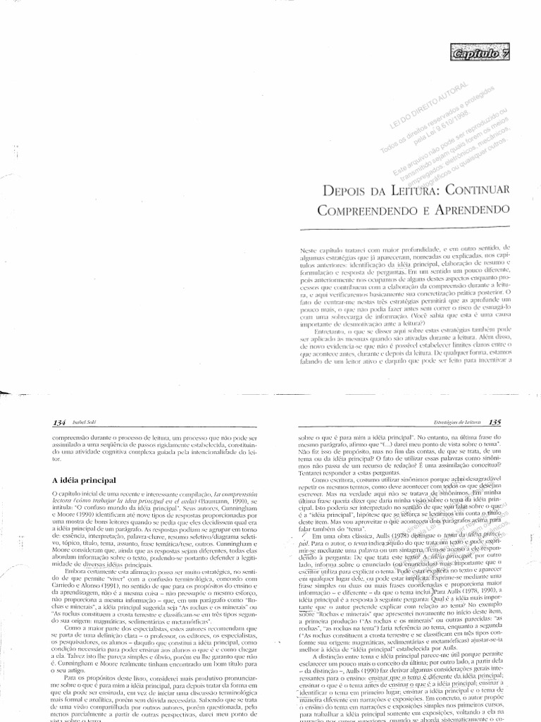 Cap7 - Depois Da Leitura - Continuar Compreendendo | PDF