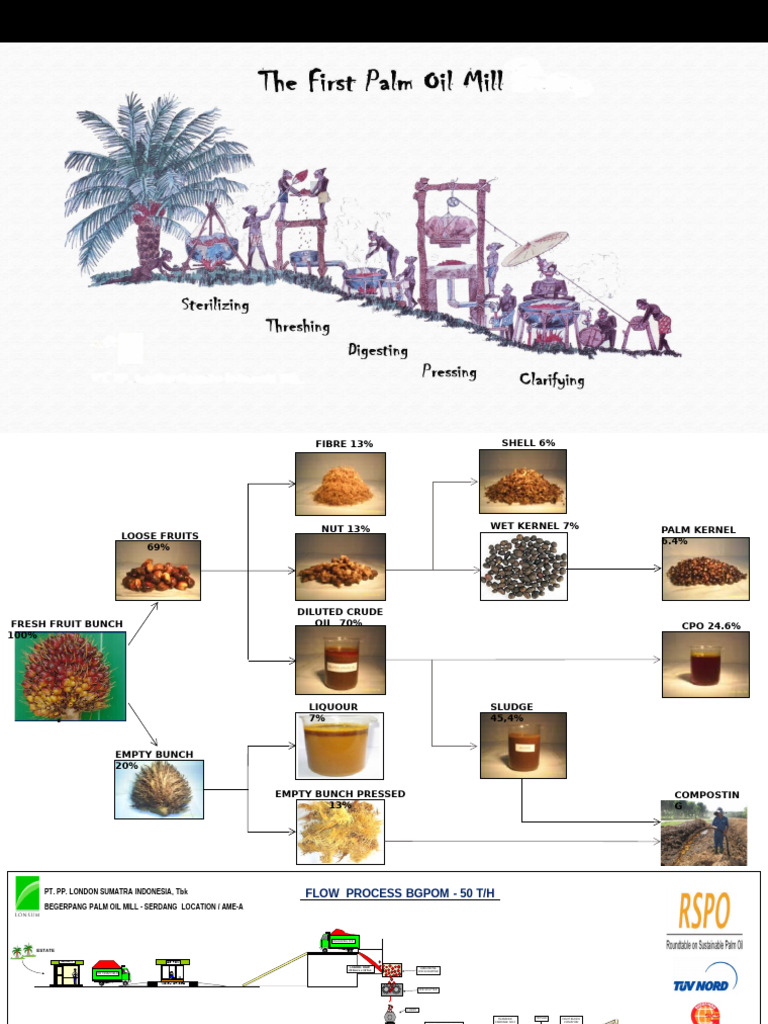 6 .Clarification Station | PDF