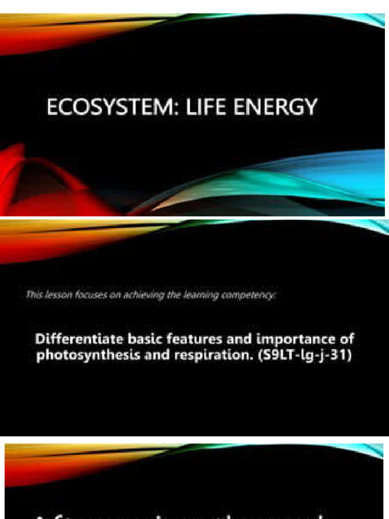 Ecosystem Life Energy 1 | PDF