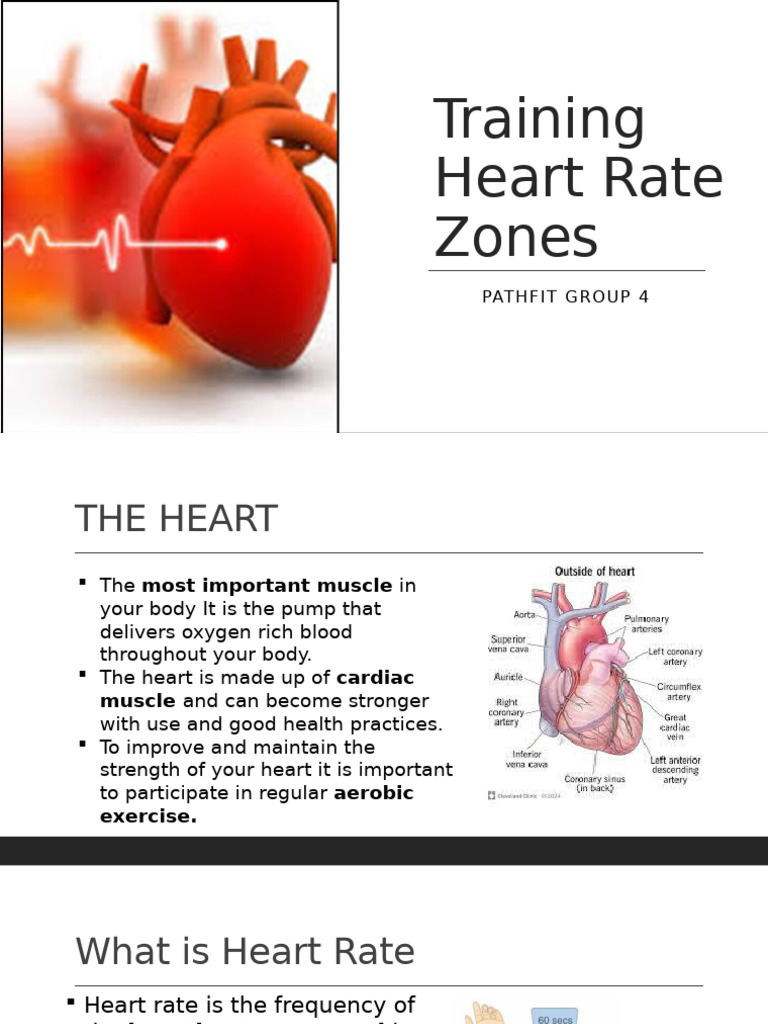 Training Heart Rate Zones | PDF | Heart Rate | Heart