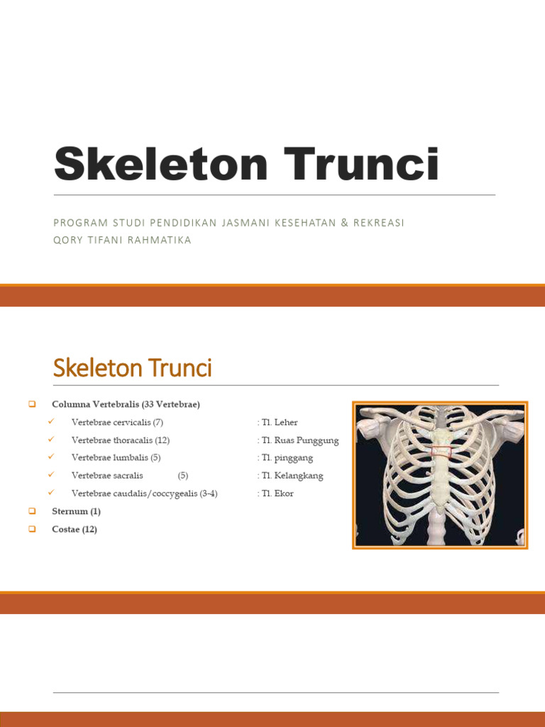 5. Skeleton Trunci (1) | PDF