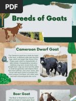 Indigenous Veld Goat Breeds Overview | PDF | Goat