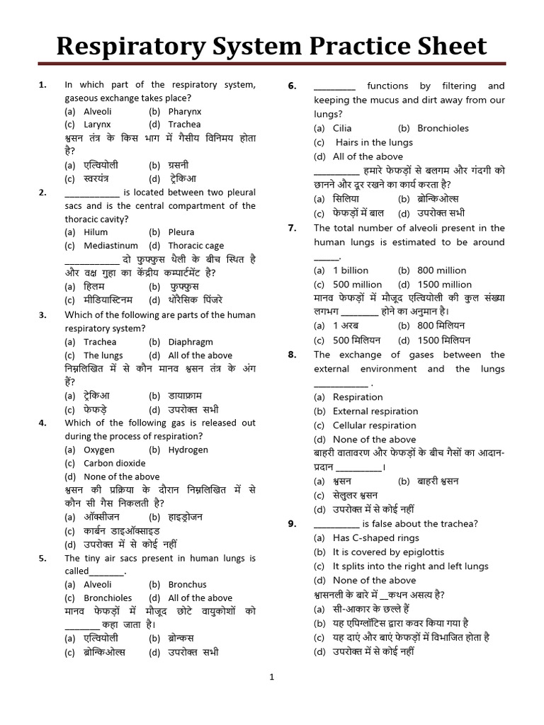 077 BIOLOGY RESPIRATORY SYSTEM Respiratory System Practice | PDF