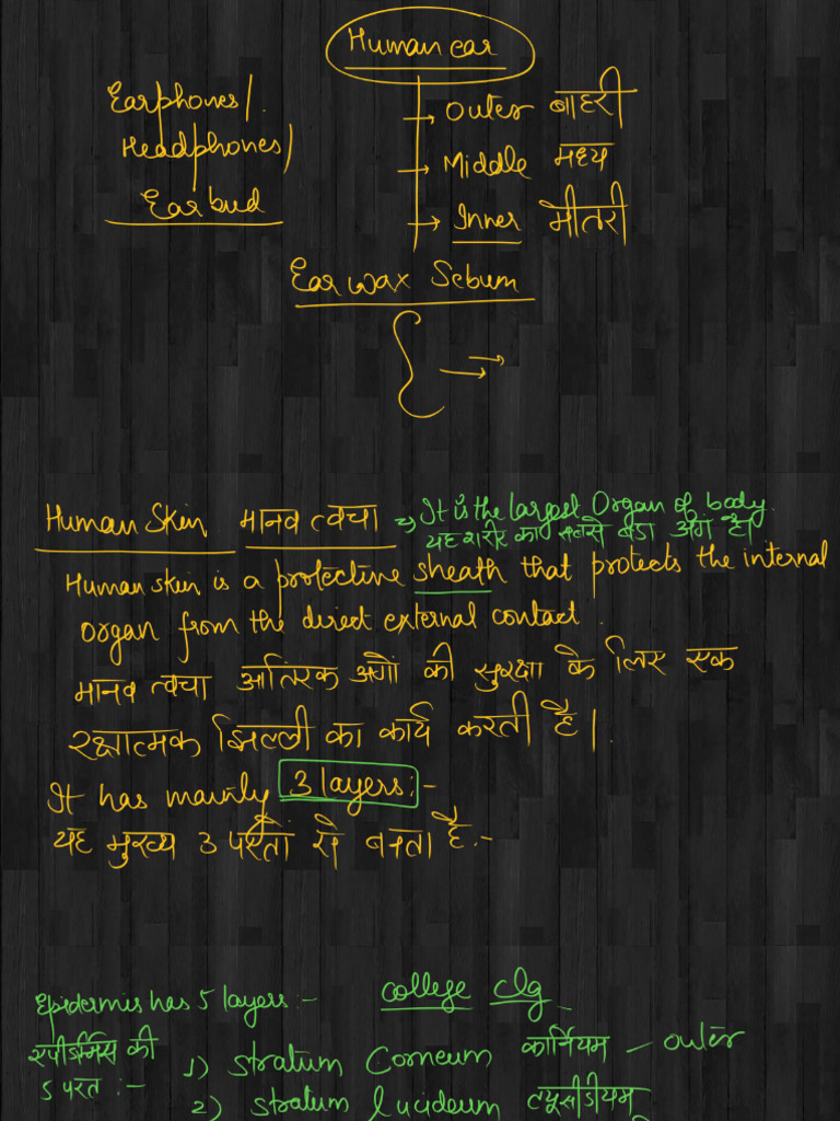 093 BIOLOGY Sense Organs Human Sense Organs Class Notes | PDF