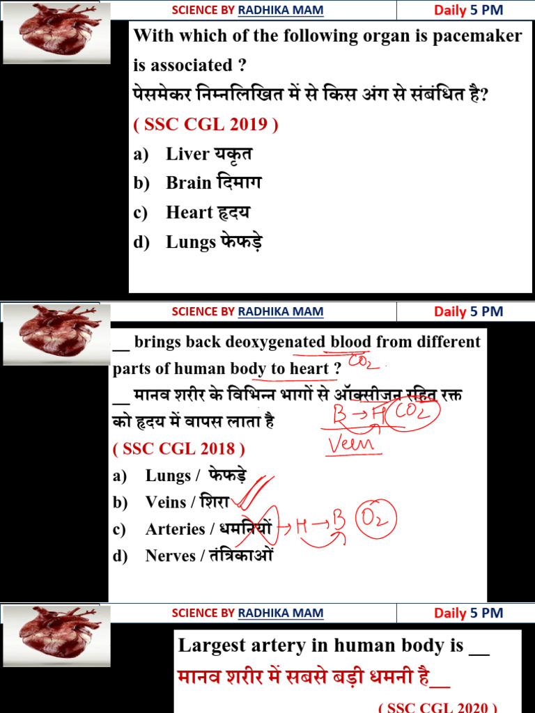 Pmt Biology Circulatory System