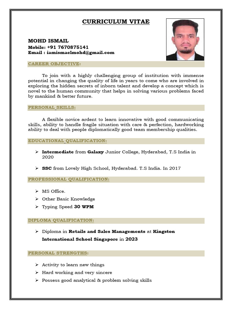 Mohd Ismail's Professional CV | PDF | Career & Growth | Business