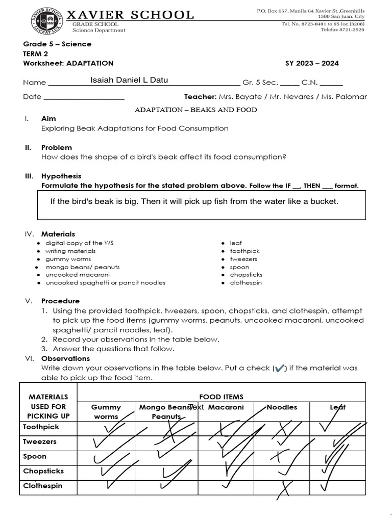 Adaptation - Beaks and Food Ws | PDF