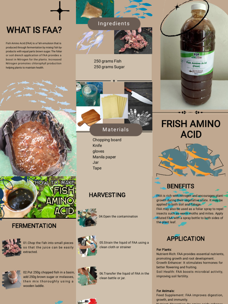 Fish Amino Acid | PDF | Soil | Digestion