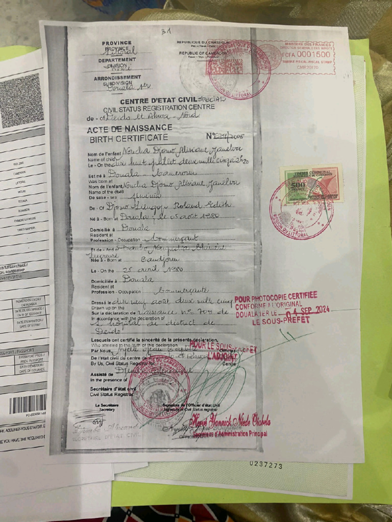 PDF Phoenix 20240918 074950 | PDF