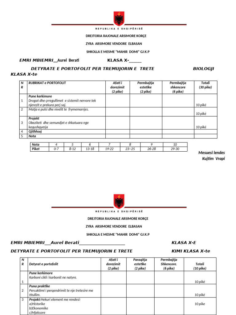 Detyra Portofoli Klasa X | PDF