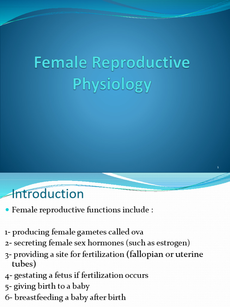 6 Female Reproductive Physiology | PDF | Menstrual Cycle | Ovary