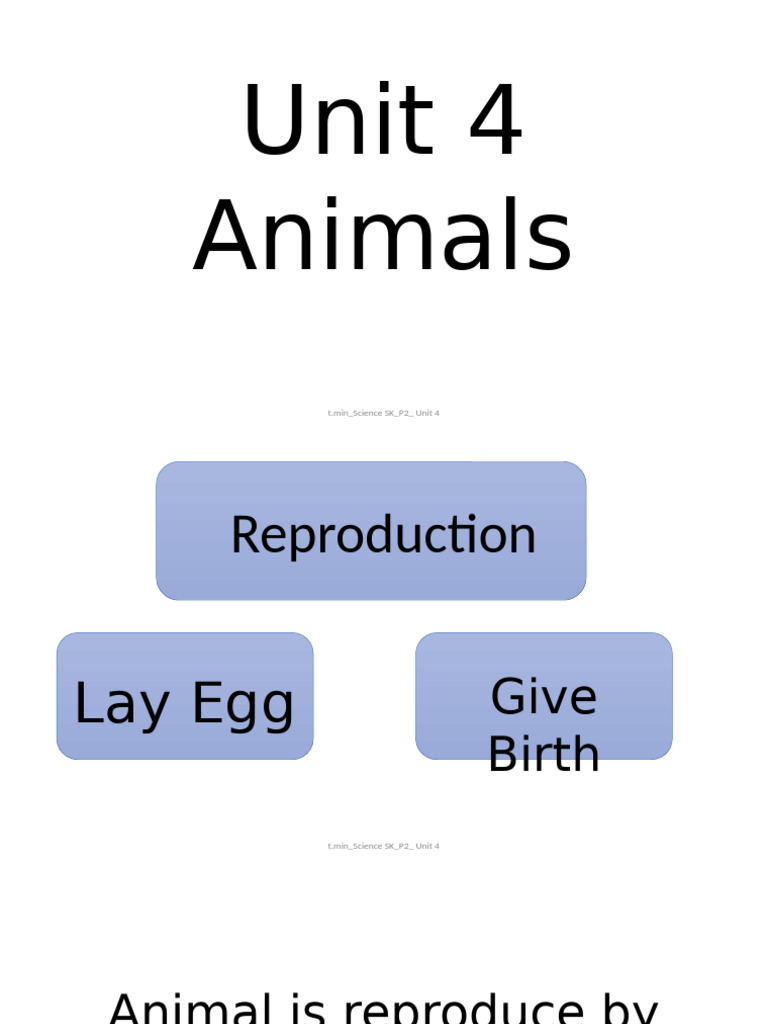 Animal Reproduction Basics | PDF