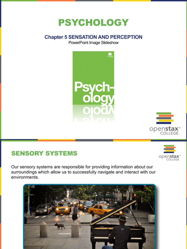 OpenStax Psychology CH05 ImageSlideshow-1 | PDF | Senses | Stimulus ...