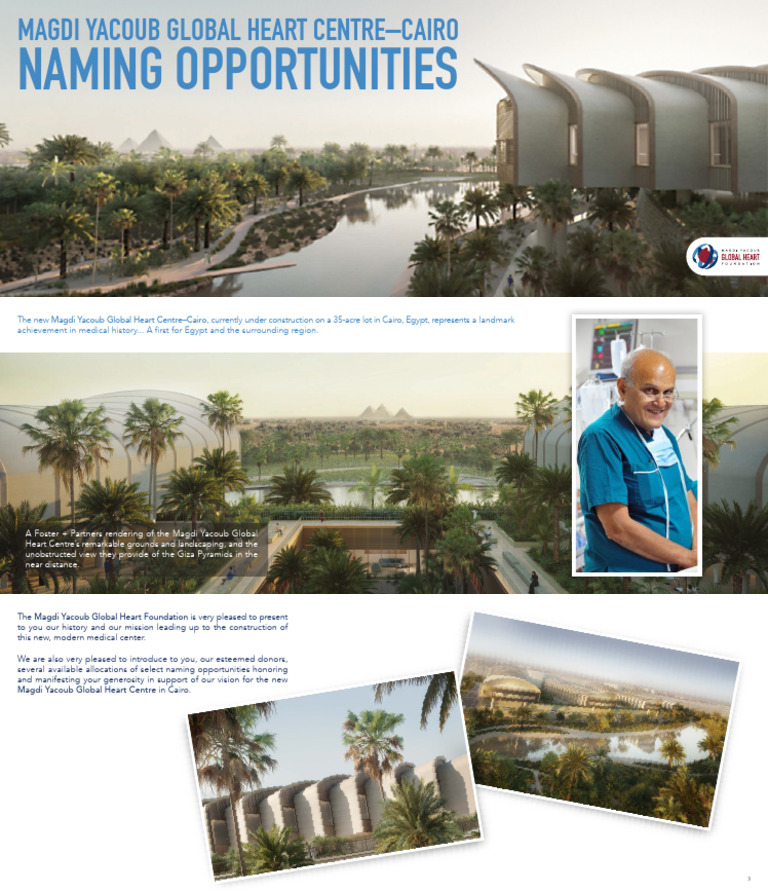 Naming Brochure | PDF | Medical Imaging | Intensive Care Unit