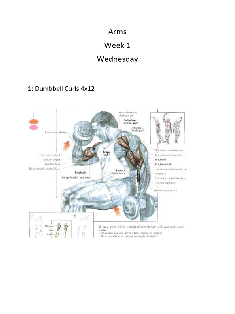 Wednesday Arm Workout Plan | PDF | Science & Mathematics