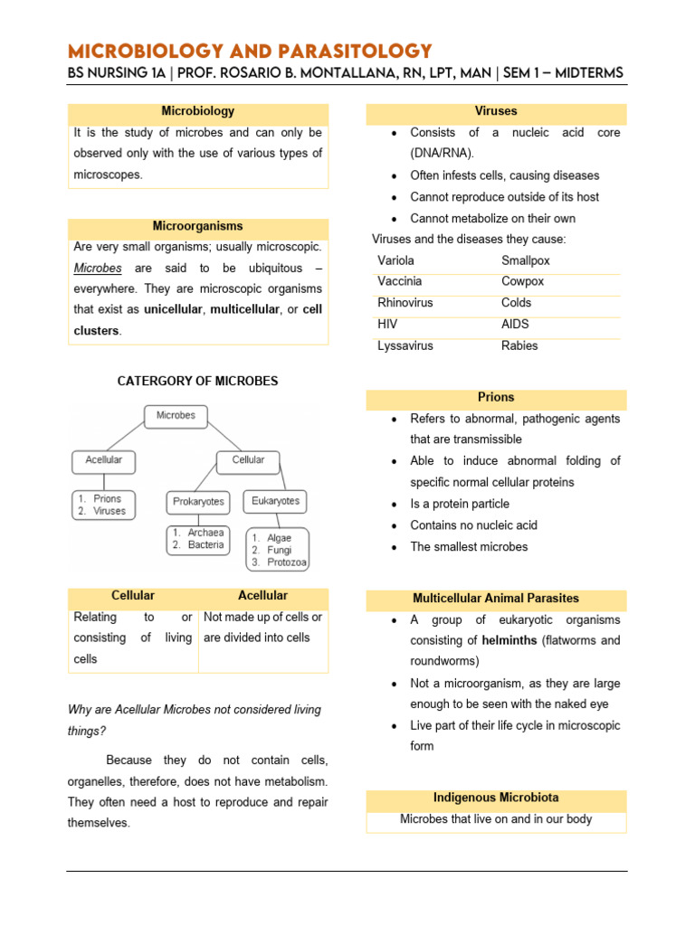 MICROPARA-TRANSES | PDF | Microorganism | Microbiology