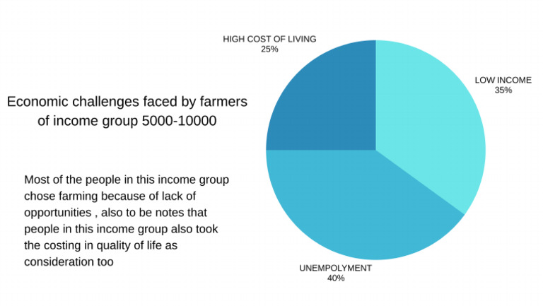 income challenges | PDF