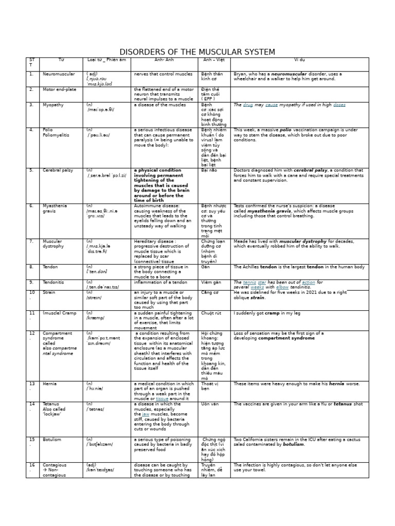 Bản Sao MUSCULAR-DISORDERS | PDF | Neuromuscular Junction | Central ...