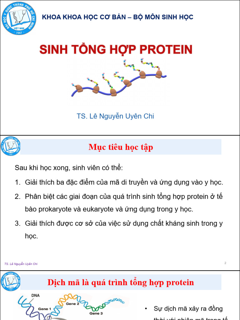 Bai 4- Sinh Tong Hop Protein_Uyen Chi | PDF