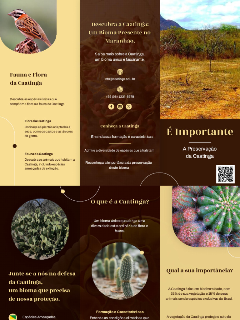 Panfleto Educacional Sobre A Caatinga | PDF | Biodiversidade | Ecologia