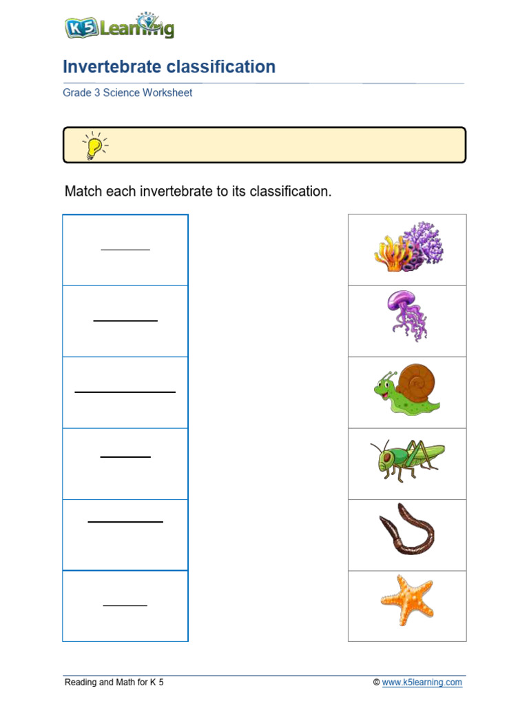Grade 3 Animal Classification C | PDF