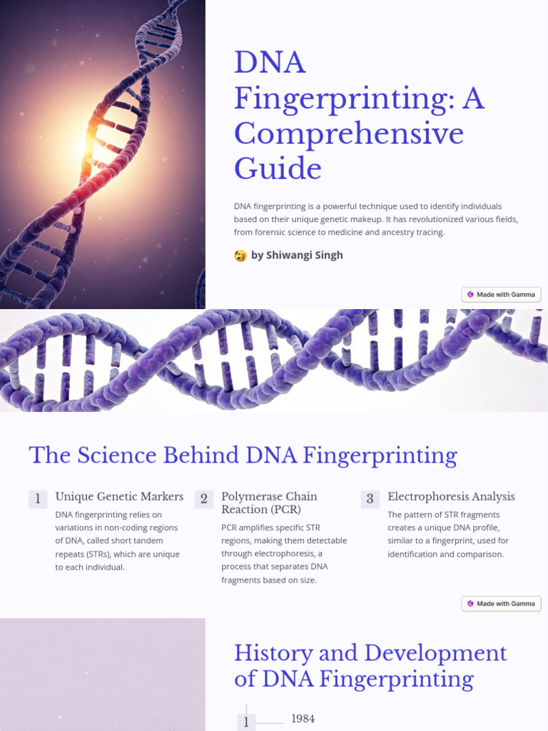 DNA Fingerprinting A Comprehensive Guide | PDF | Dna Profiling ...