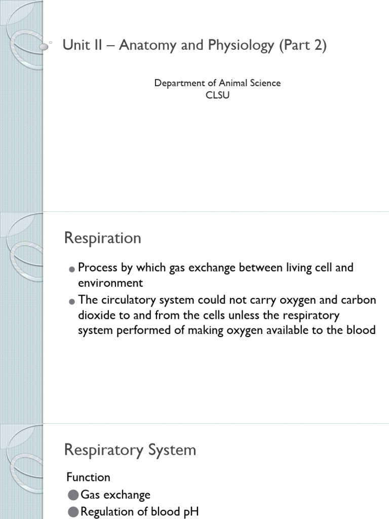 Unit Ii Anatomy And Physiology Part 2 Vr 2 Pdf Respiratory Tract