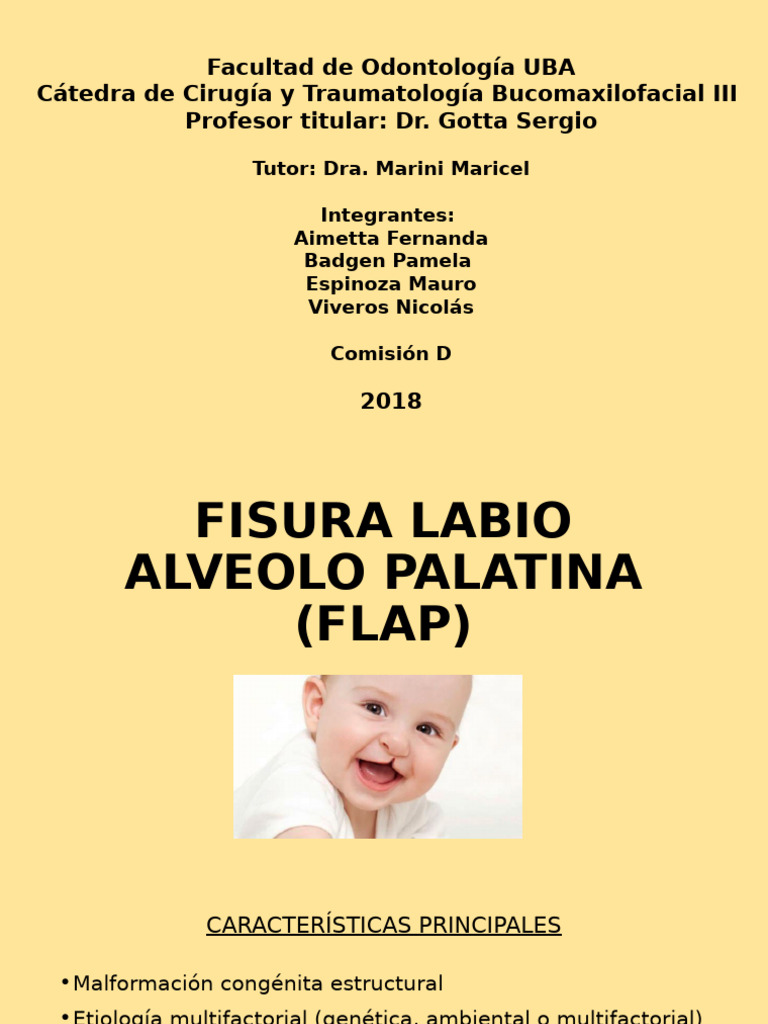 Presentación Ciru 3 Final Drive | PDF | Ortodoncia | Especialidades Medicas