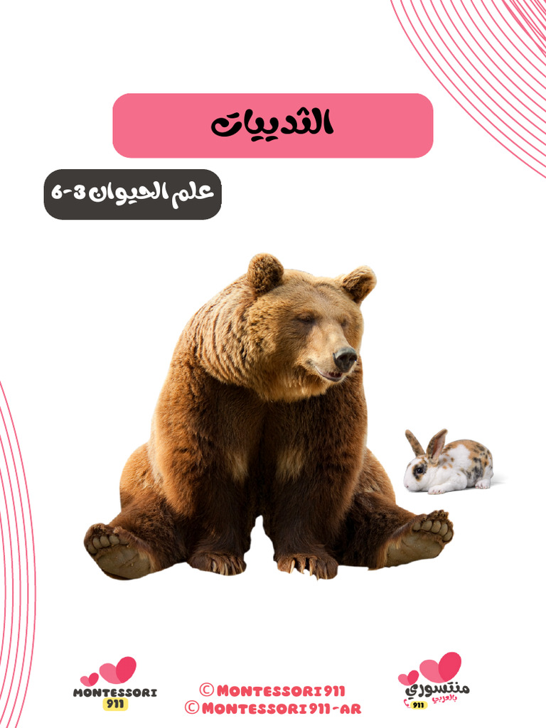 911 - Montessori 3-6 - Zoology - Montessori 911 | PDF