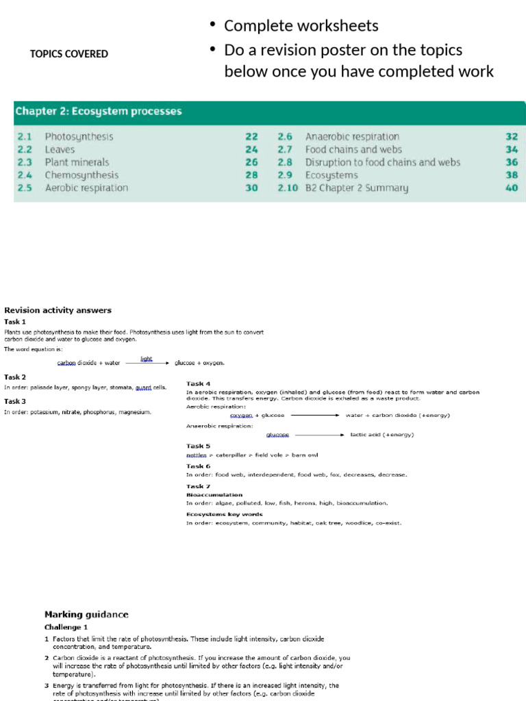 Year 8 Ecosysystems Revision Final Version | PDF