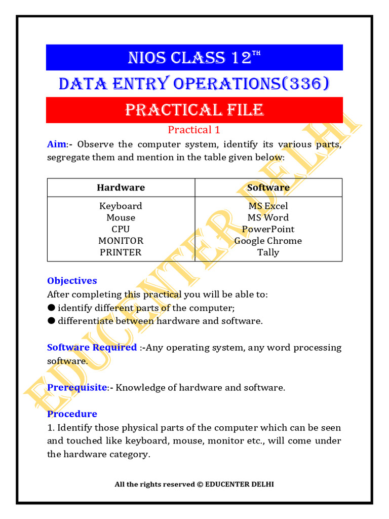 NIOS CLASS 12 Data Entry Operations Practical File - 2 | PDF | Microsoft Excel | Input/Output