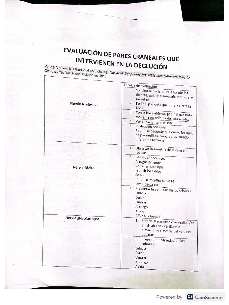 Evaluación Deglucion | PDF