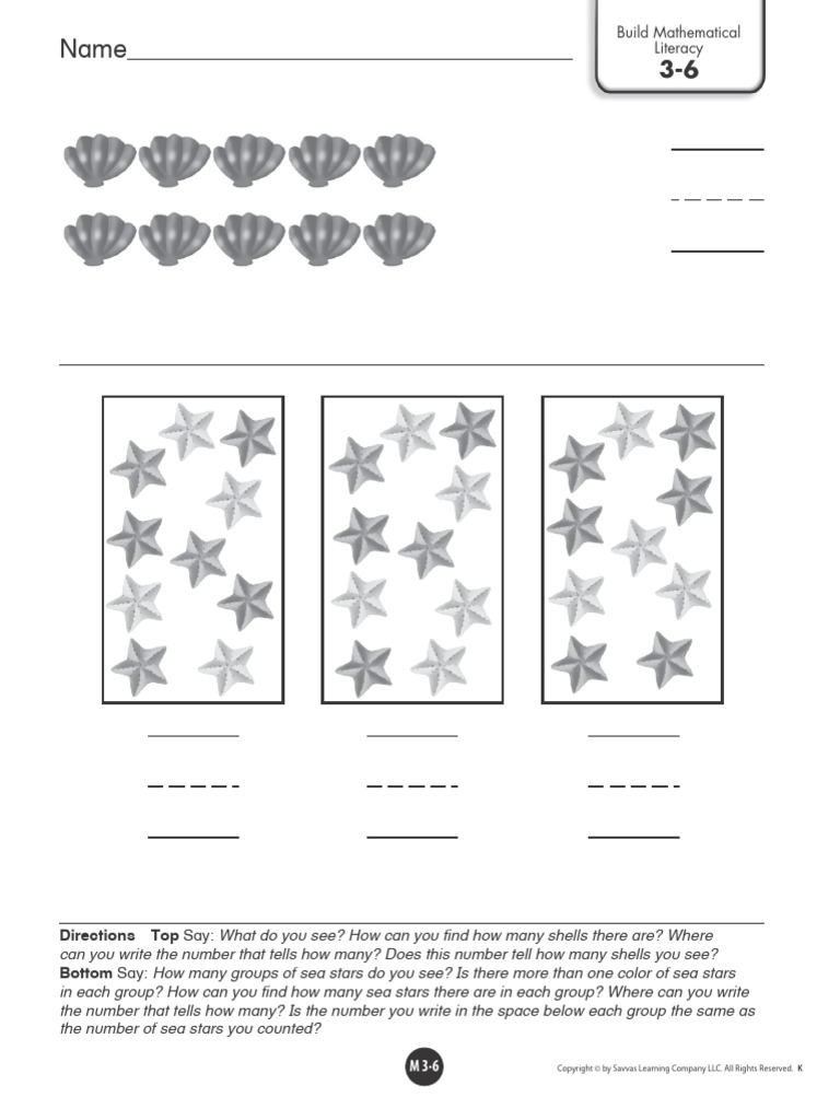 3-6 - Build Mathematical Literacy | PDF