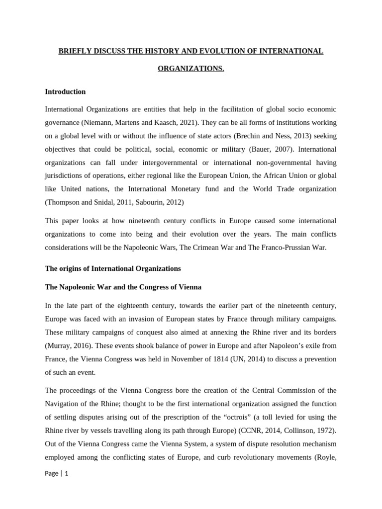 History of International Organizations | PDF | United Nations ...