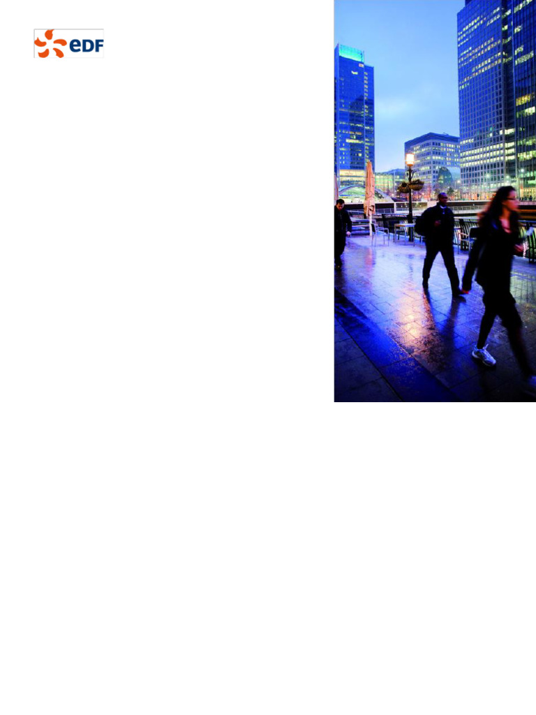 Tutorial - Edf Group Ethics and Compliance Whistleblowing System | PDF ...