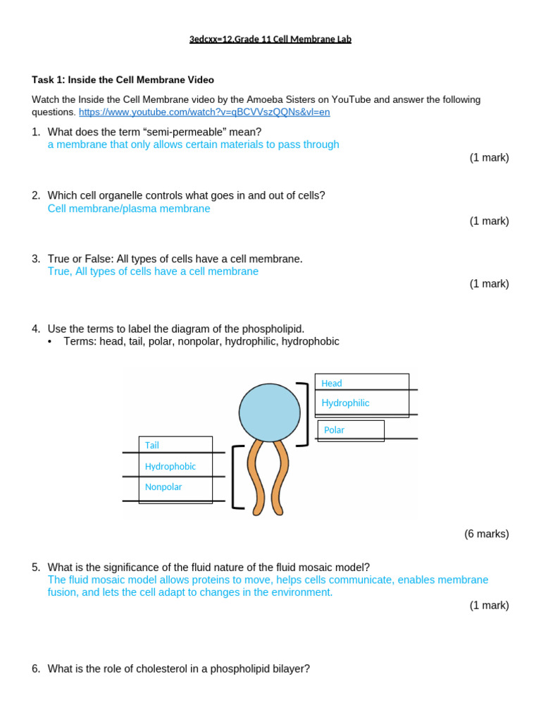 Grade 11 SLA2 | PDF | Cell Membrane | Cell (Biology)
