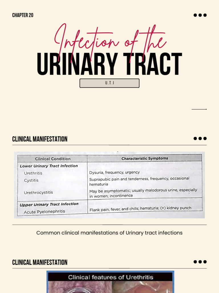 Infection of The: Urinary Tract | PDF | Urinary Tract Infection | Clinical Medicine