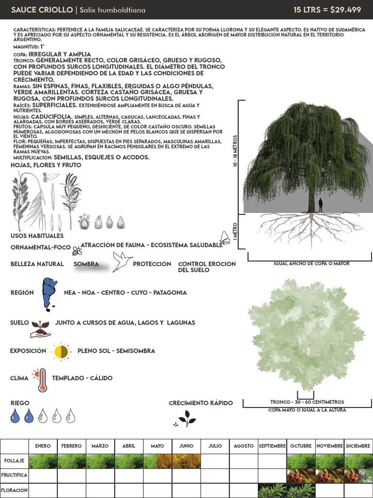 Sauce criollo | PDF | Sauce | Hoja