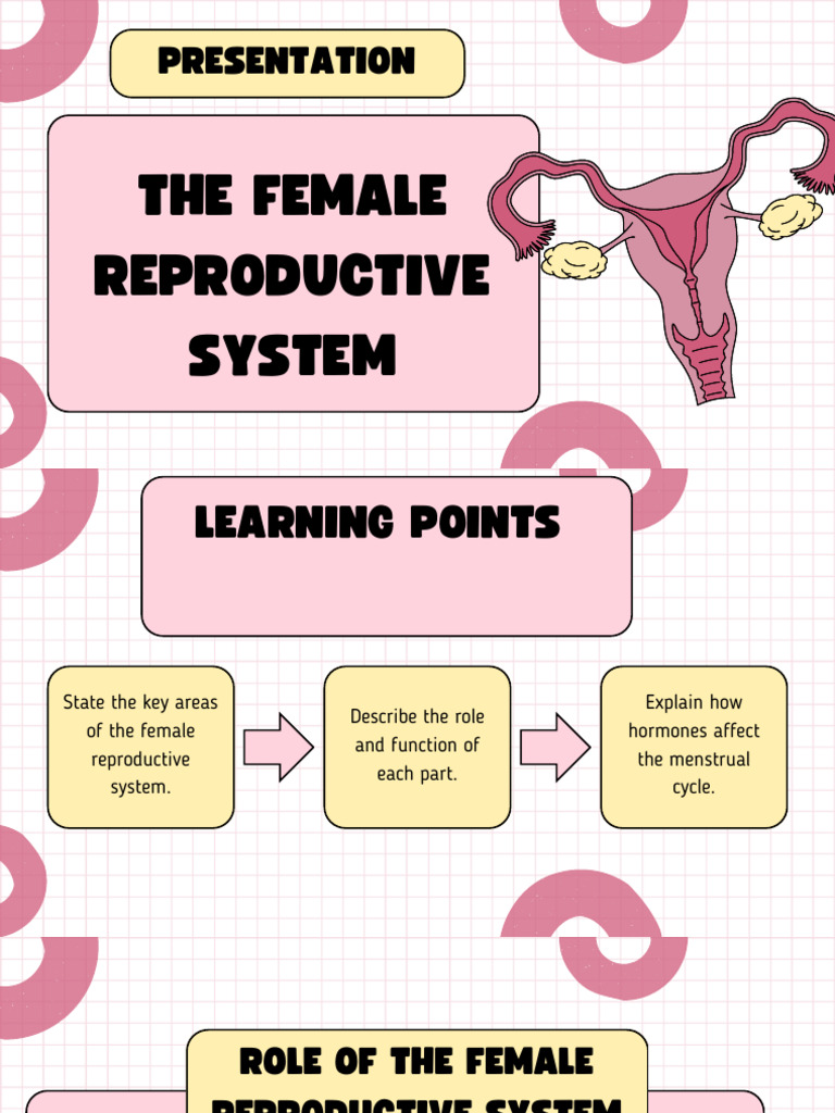 Female Reproductive System Biology Presentation in A Pink Bold Style ...