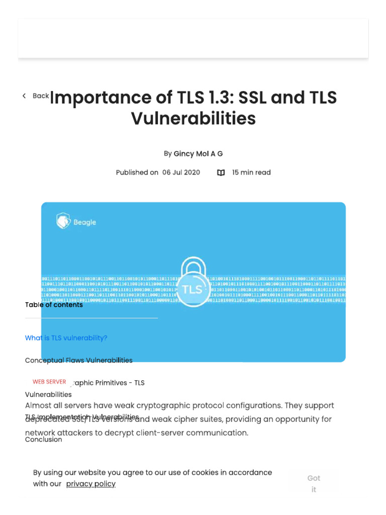 Importance of TLS 1.3 - SSL and TLS Vulnerabilities | PDF