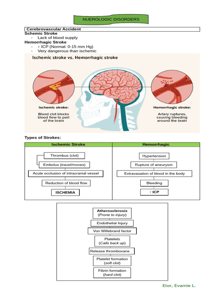 Cerebrovascular Accident Schemic Stroke Hemorrhagic Stroke: Nuerologic ...