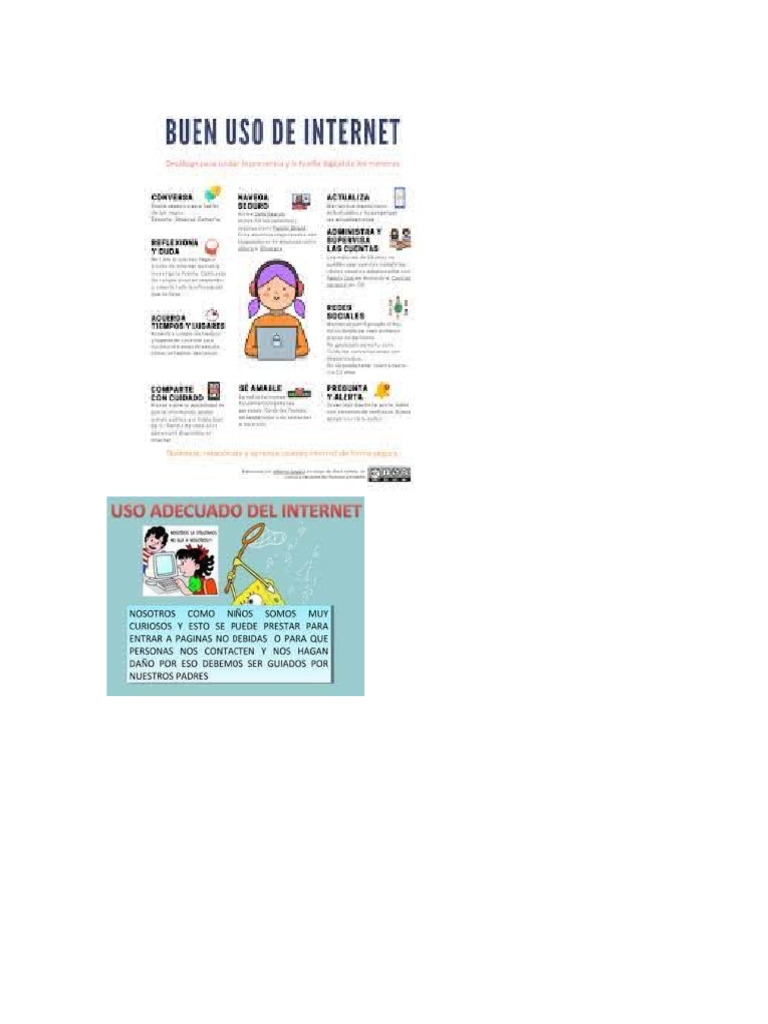 El Buen Uso Del Internet | PDF