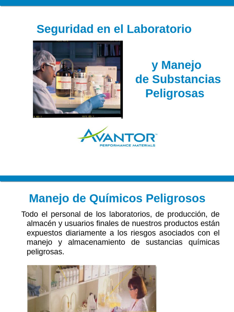 Avantor Seguridad 2017 | PDF | Combustión | Laboratorios