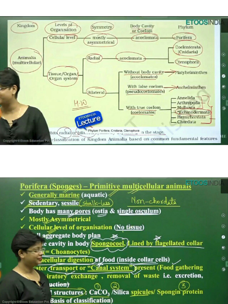 Animal Kingdom Lec2 | PDF